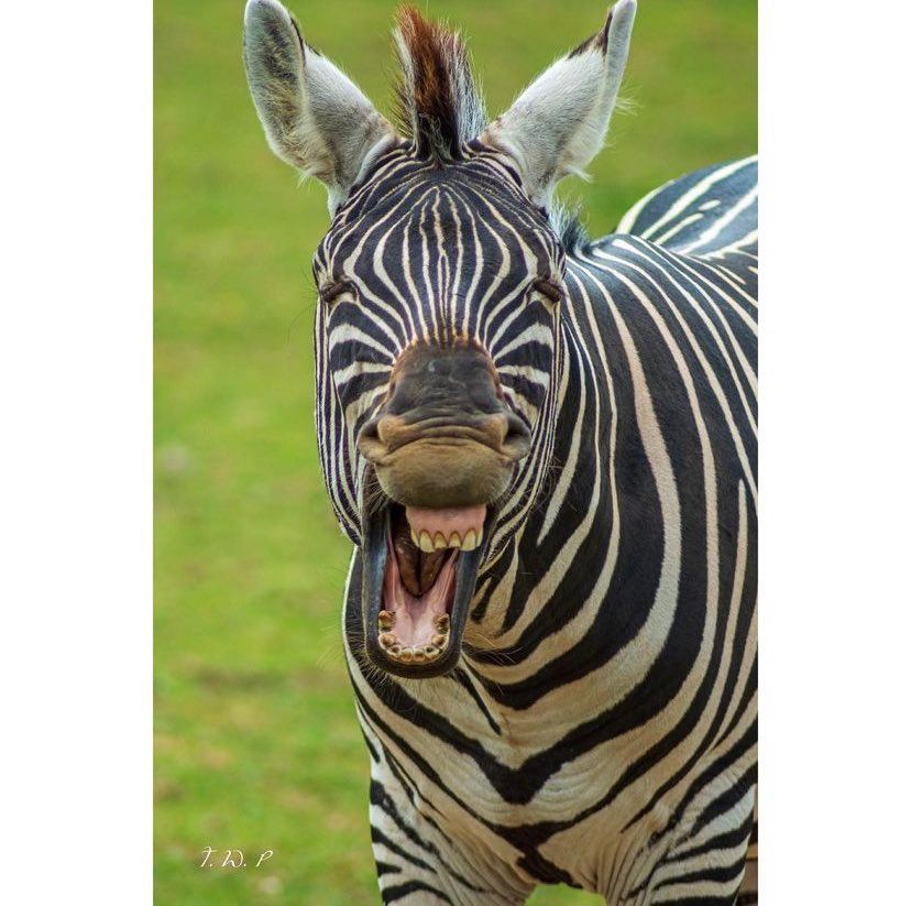 Photography Competition Winners 2022