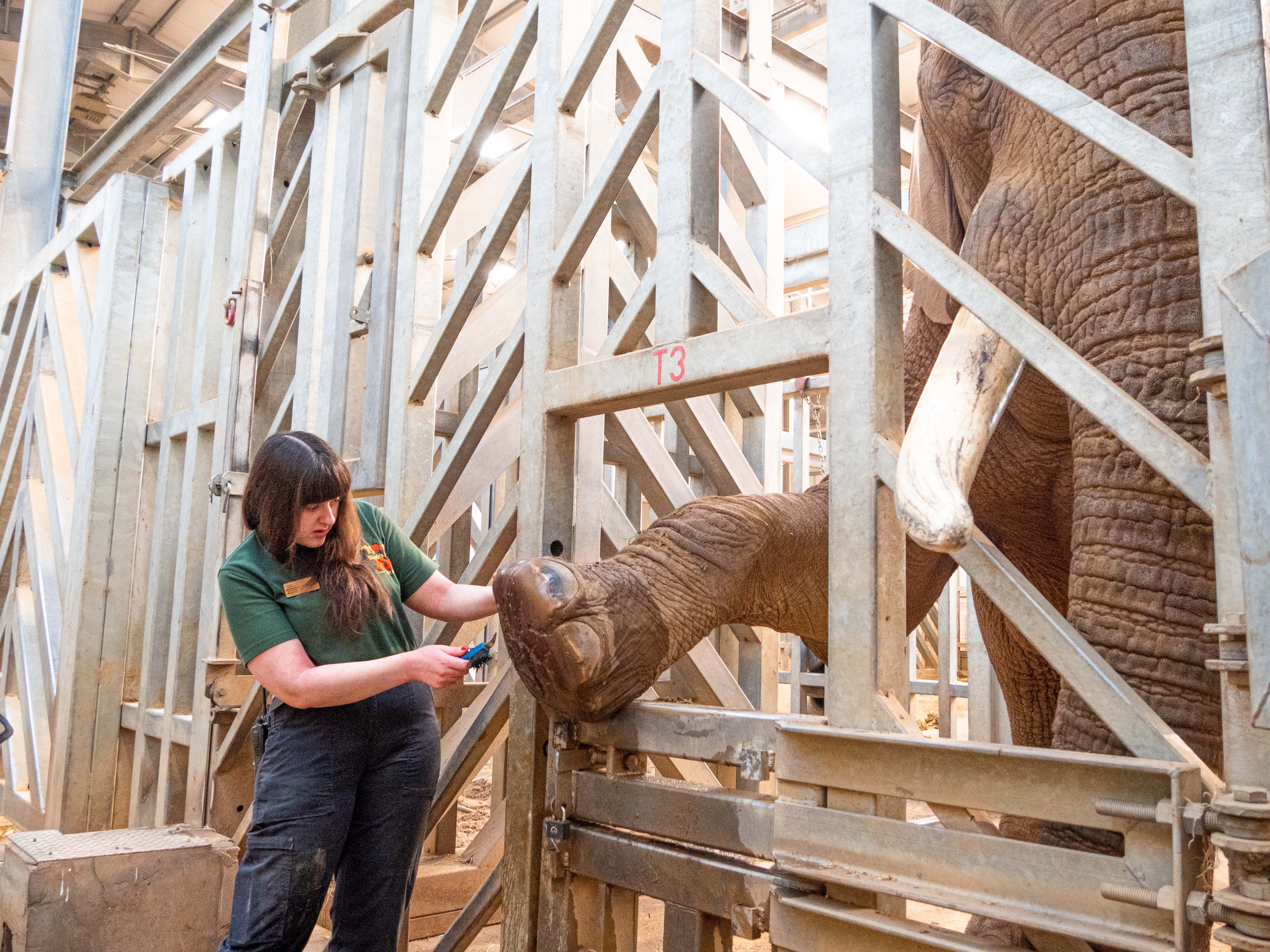 Dedicated Keeper Team