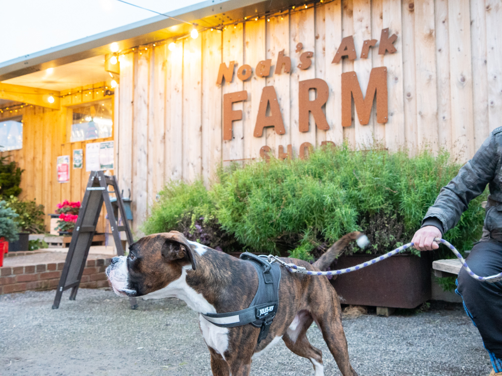 Noah's Ark Farm Shop