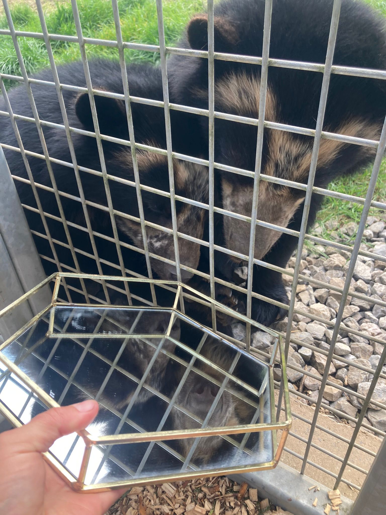 Keeper Camera Roll: West Section Keeper