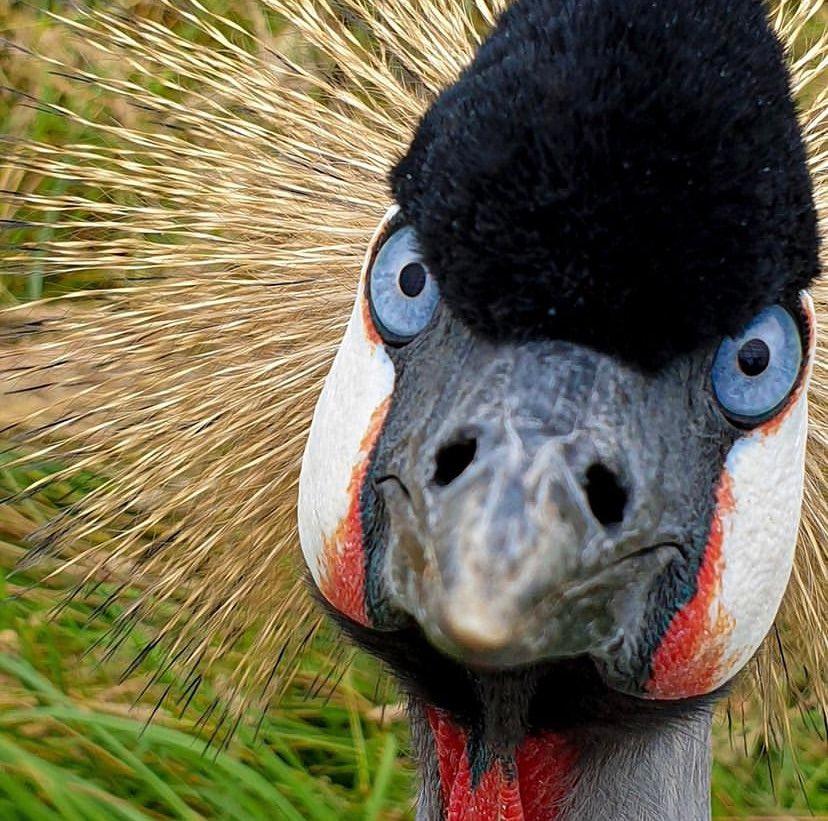 Photography Competition Winners 2022