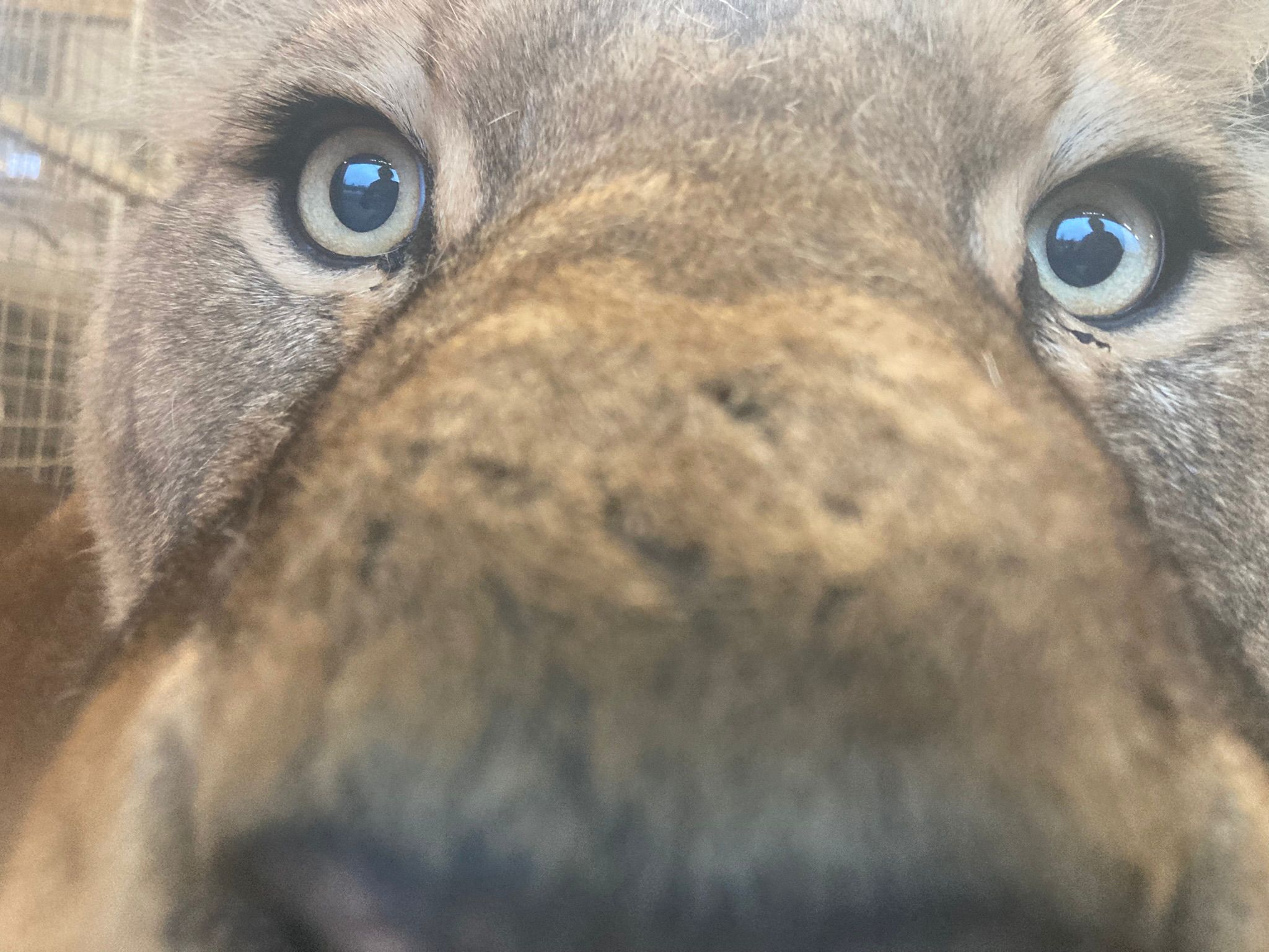 Keeper Camera Roll: West Section Keeper