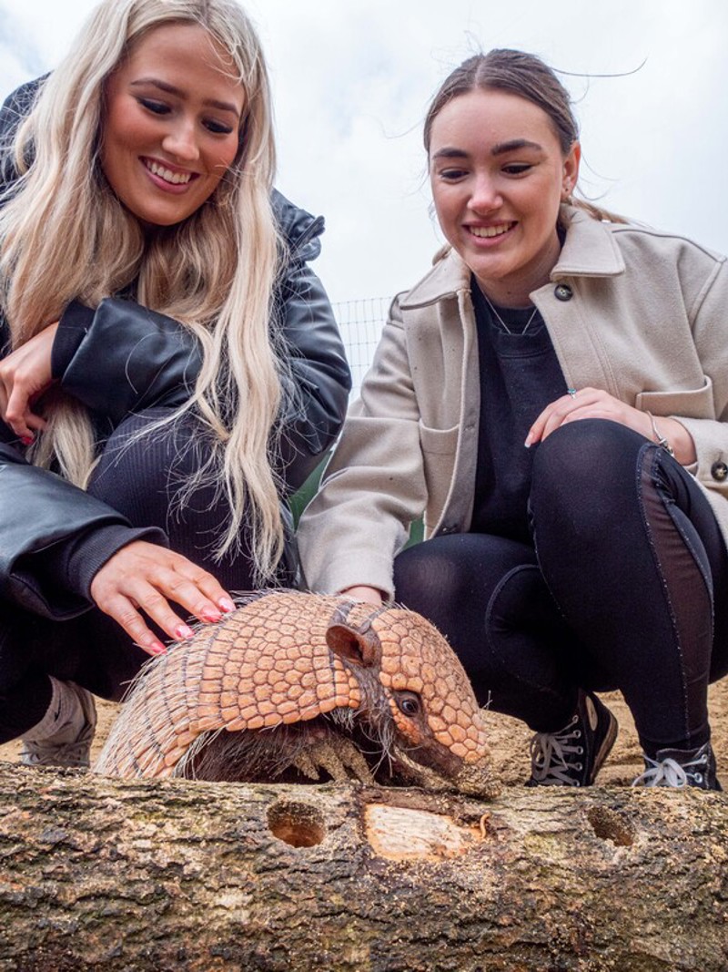 New Encounters are here!