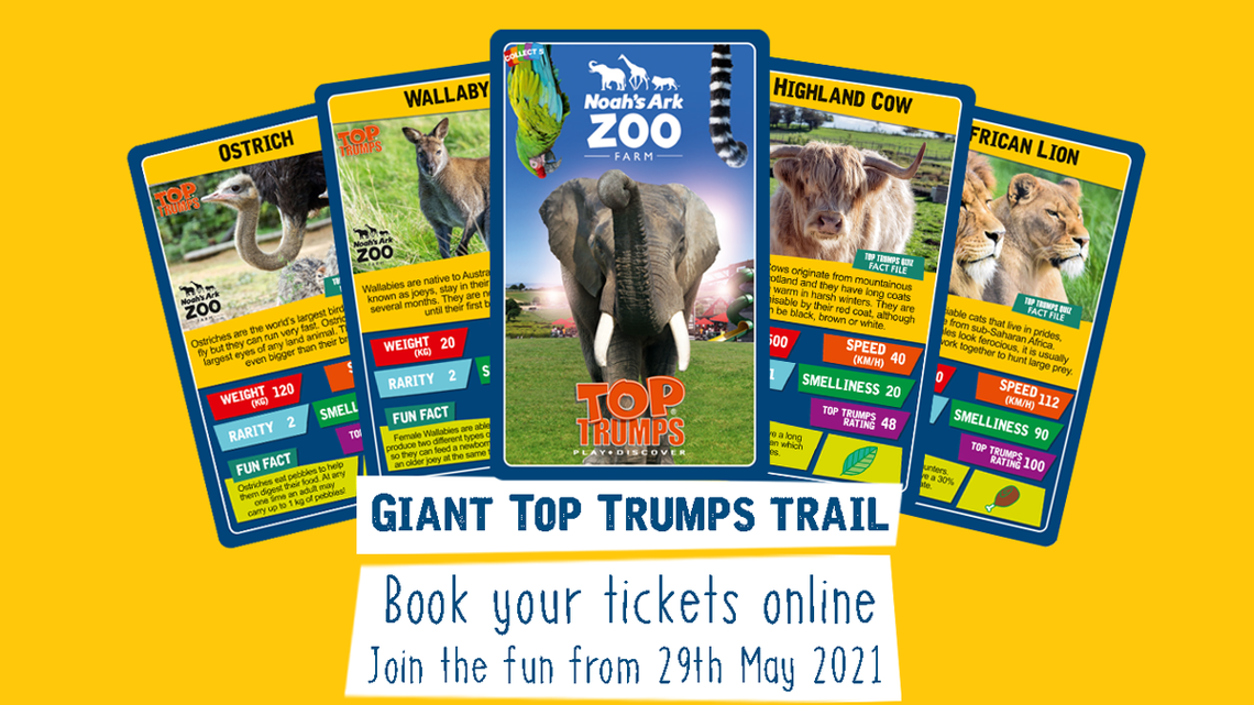 Giant Top Trumps