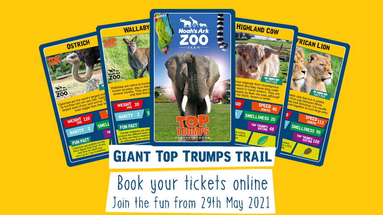 Giant Top Trumps