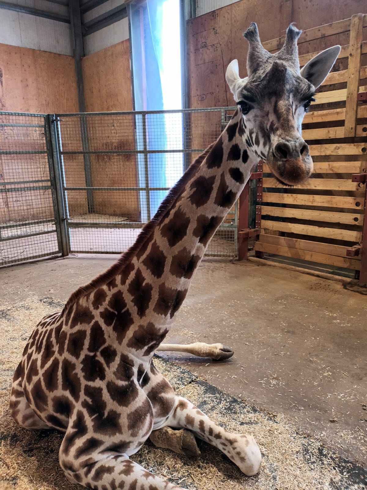 Keeper Camera Roll: Africa Section