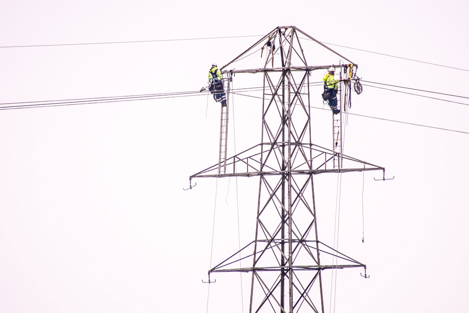 Zoo's Historic Pylon Felled